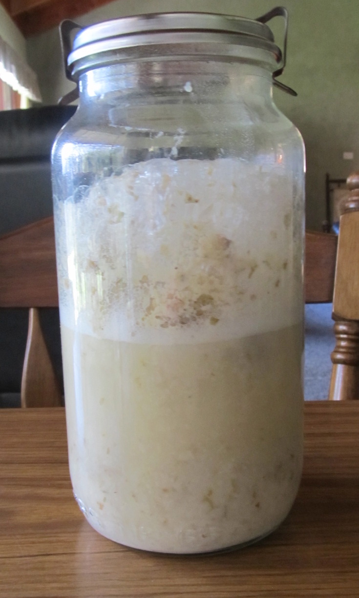 Hop/Potato Yeast plant