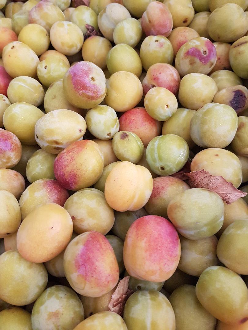 An Abundance of Plums