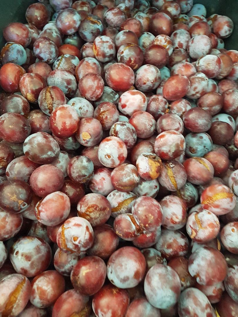 An Abundance of Plums