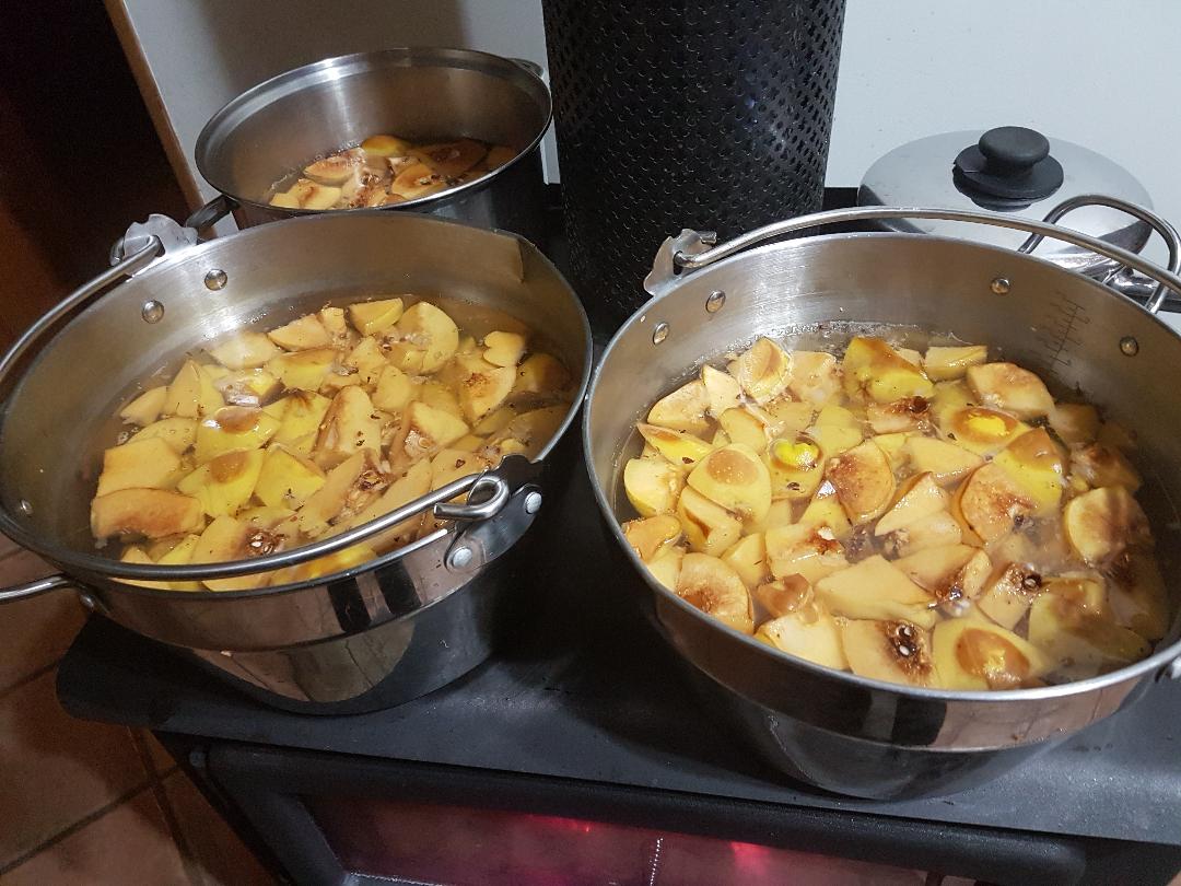 The Valley of the Quinces