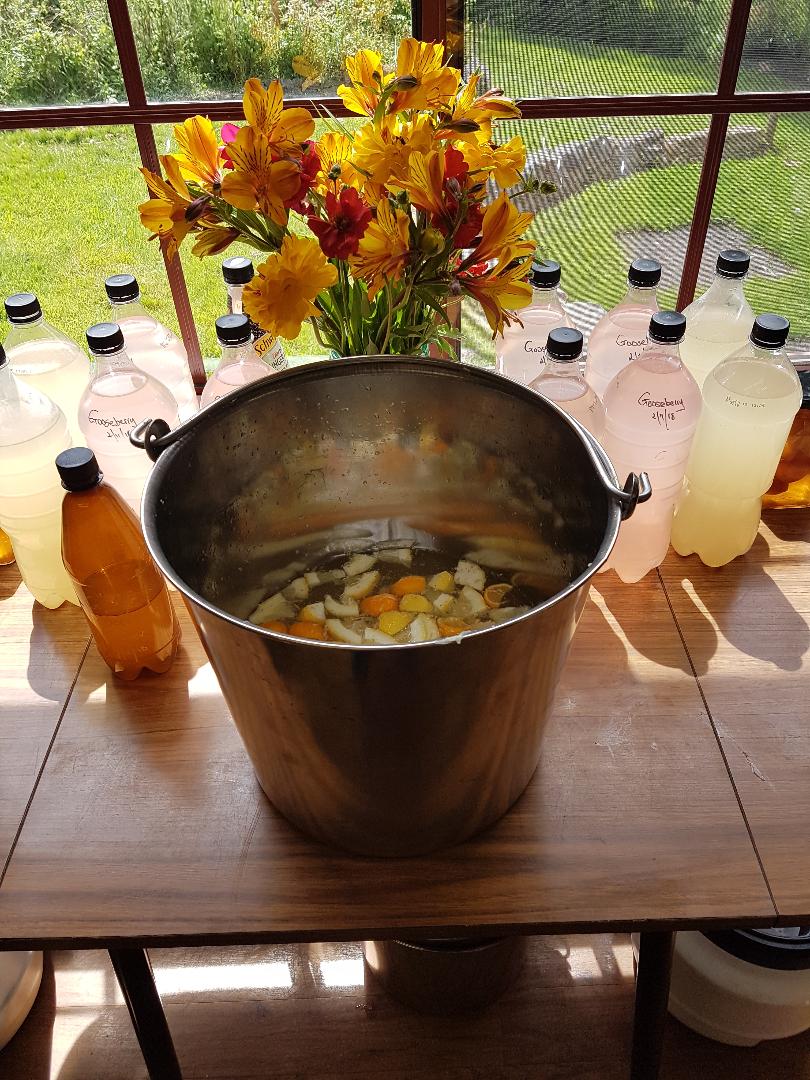 A Ferment or Two