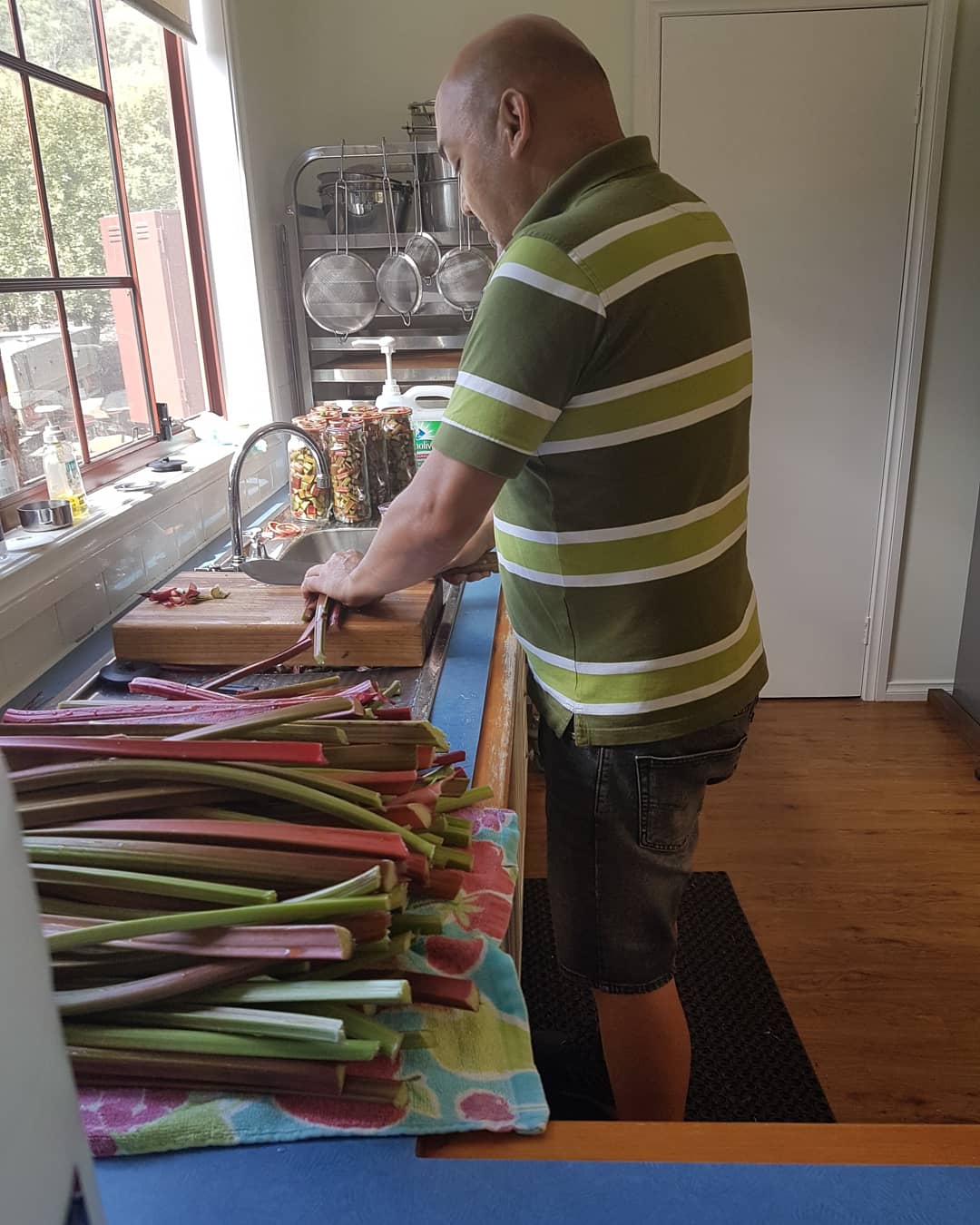 Preserving Rhubarb and Plums