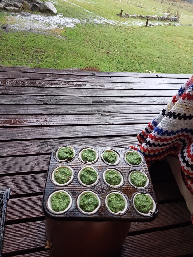 ABC cooking segment yesterday – recipes here for green tomato Kasoundi ...