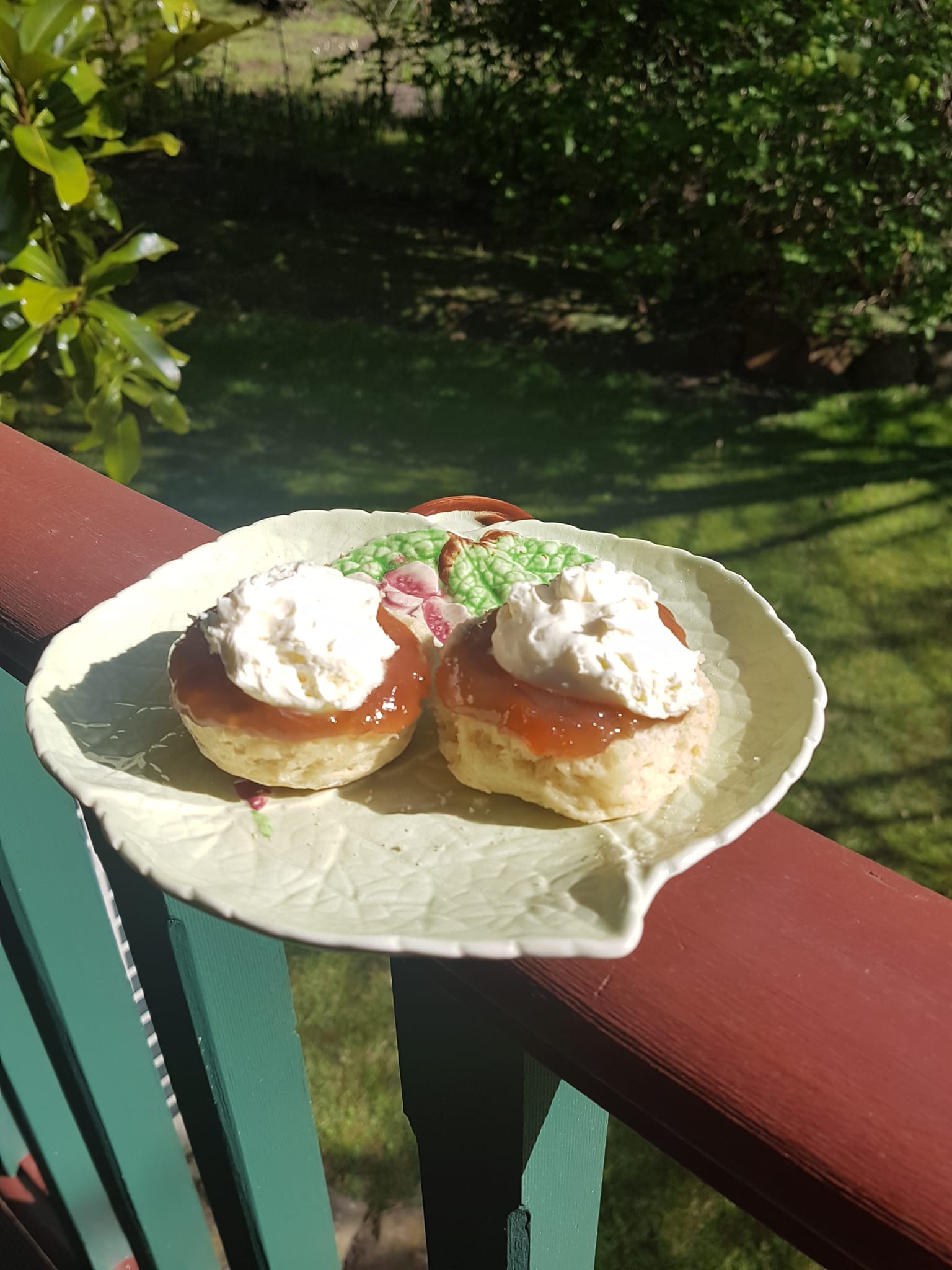 ABC Jams and Preserves Talkback – rhubarb/apricot jam and rhubarb ...