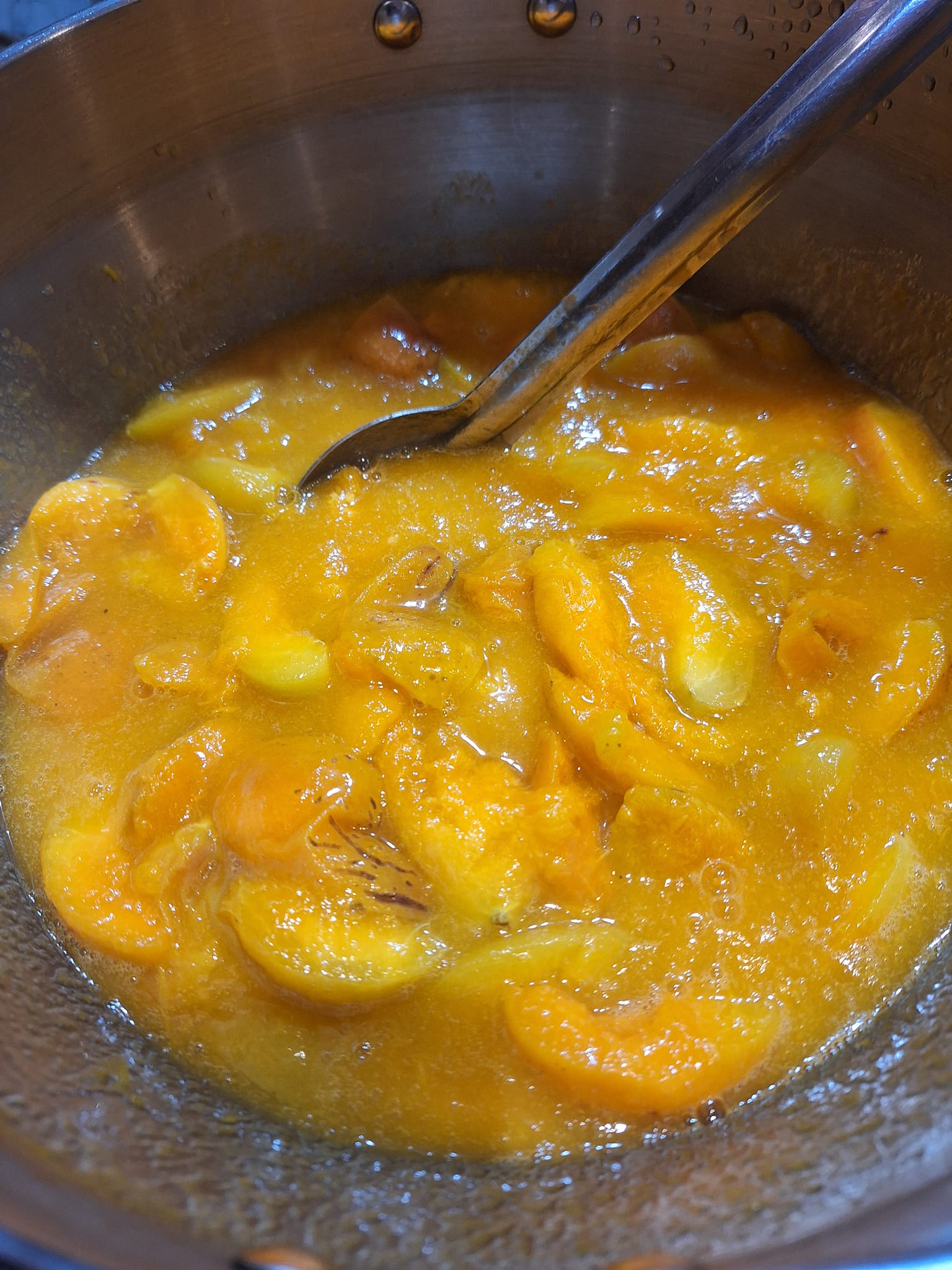 Perfect gifts – preserver and apricots!