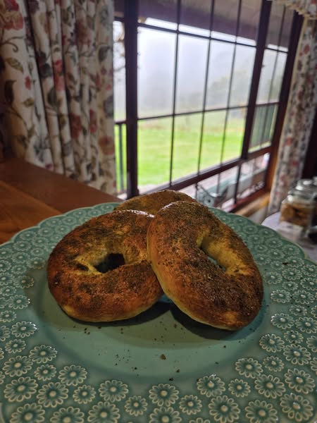 Bagels – a great thing to make on a foggy, rainy day in Molesworth