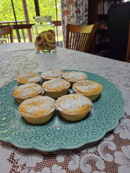 A tasty morning tea of the custard variety